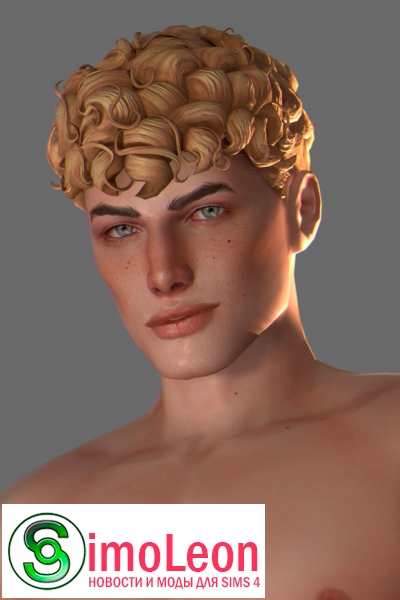 Прическа Seraphim от Wistful Castle